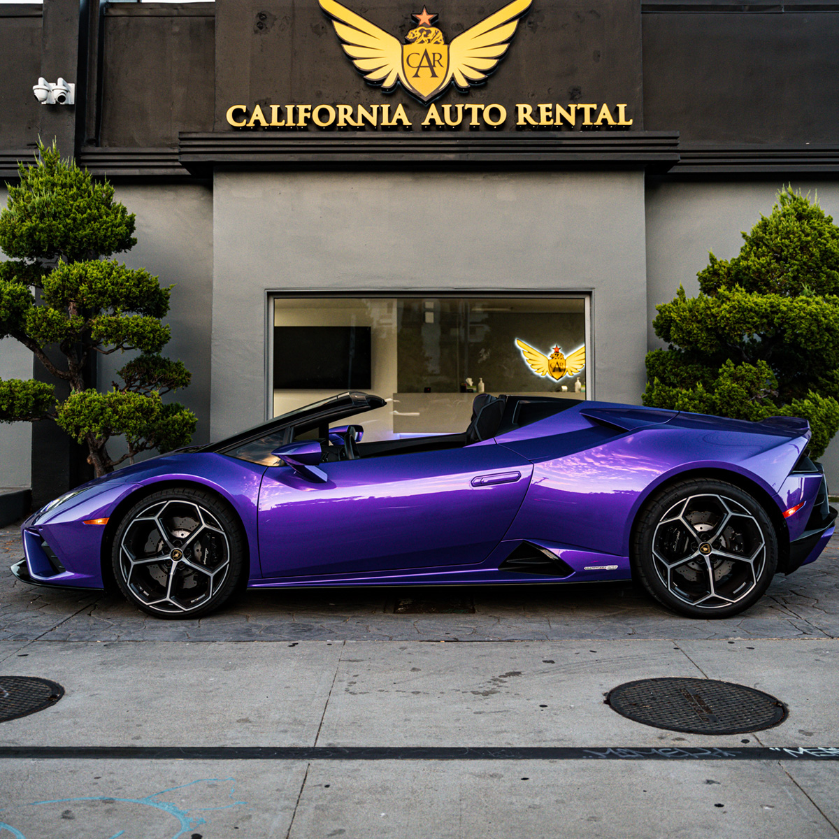 Contact Us | Car Rental Los Angeles | California Auto Rental